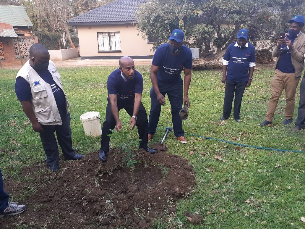 zcbc-chairman-for-caritas-plants-a-tree-in-gweru-diocese-where-the ...