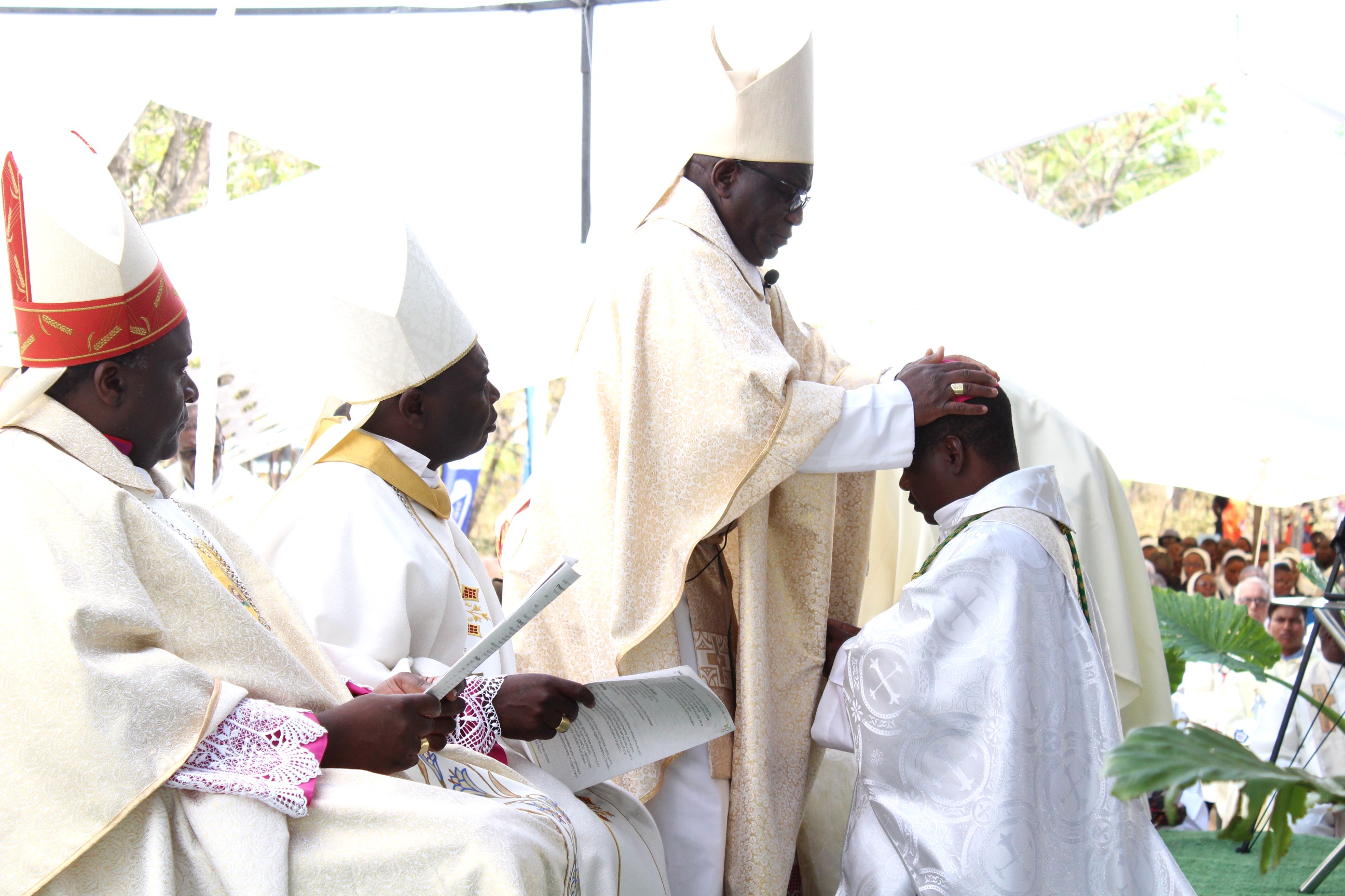 “Be an elder and stand for the truth”; new bishop of Gokwe Diocese told ...